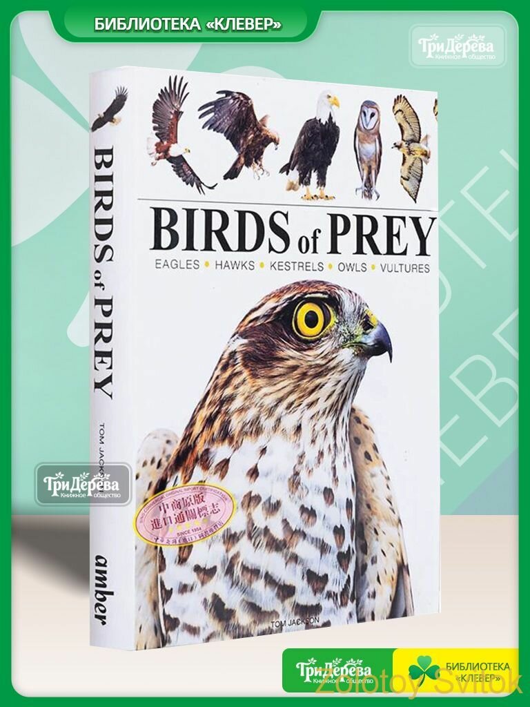 Книга Birds of Prey Том Джексон "Birds of Prey: Tom Jackson", энциклопедия