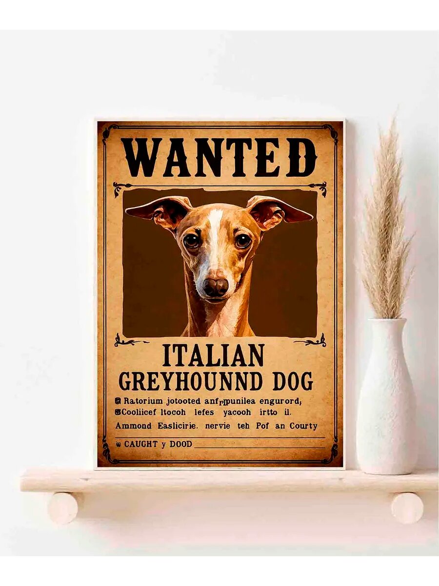 Итальянская борзая собака, Wanted, Плакат 30x42см