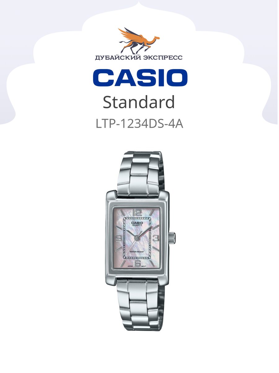  CASIO