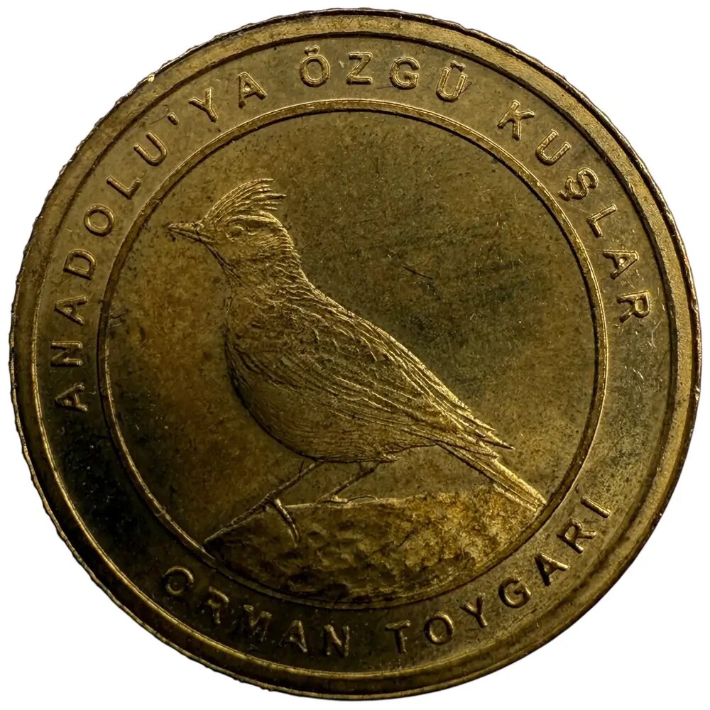 Турция 1 куруш 2021 г. (Птицы Анатолии - Лесной жаворонок)