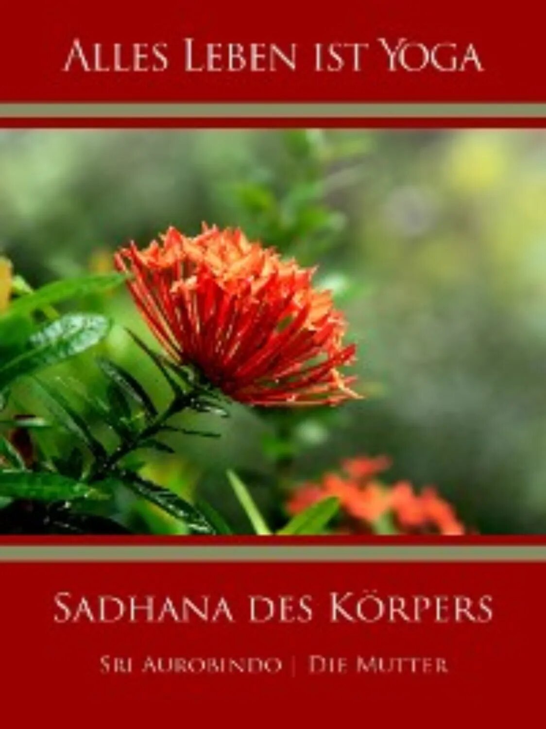 Sadhana des Körpers [Цифровая книга]