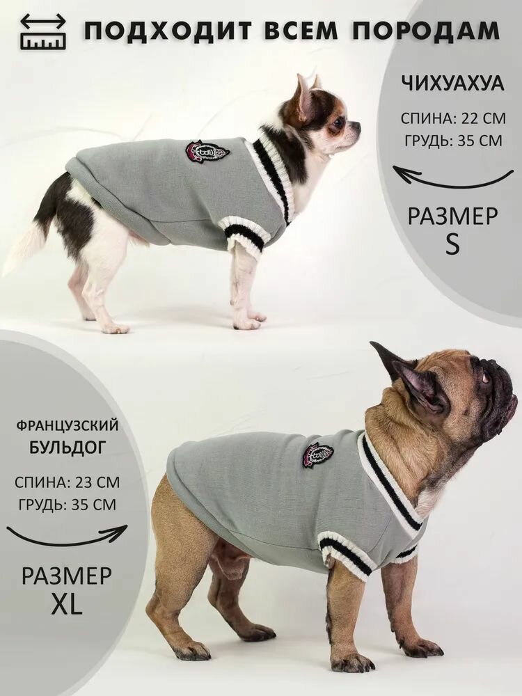 Одежда для животных QWQ — фото 1