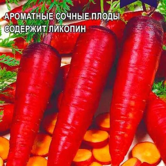 Коллекционные семена моркови Чурчхела красная