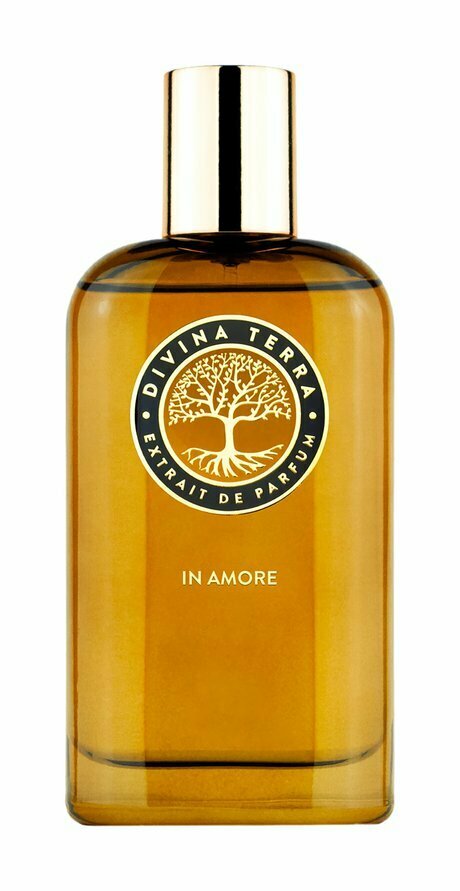DiVina Terra In amore Extrait de Parfum Духи (Parfum) 100 мл/гр