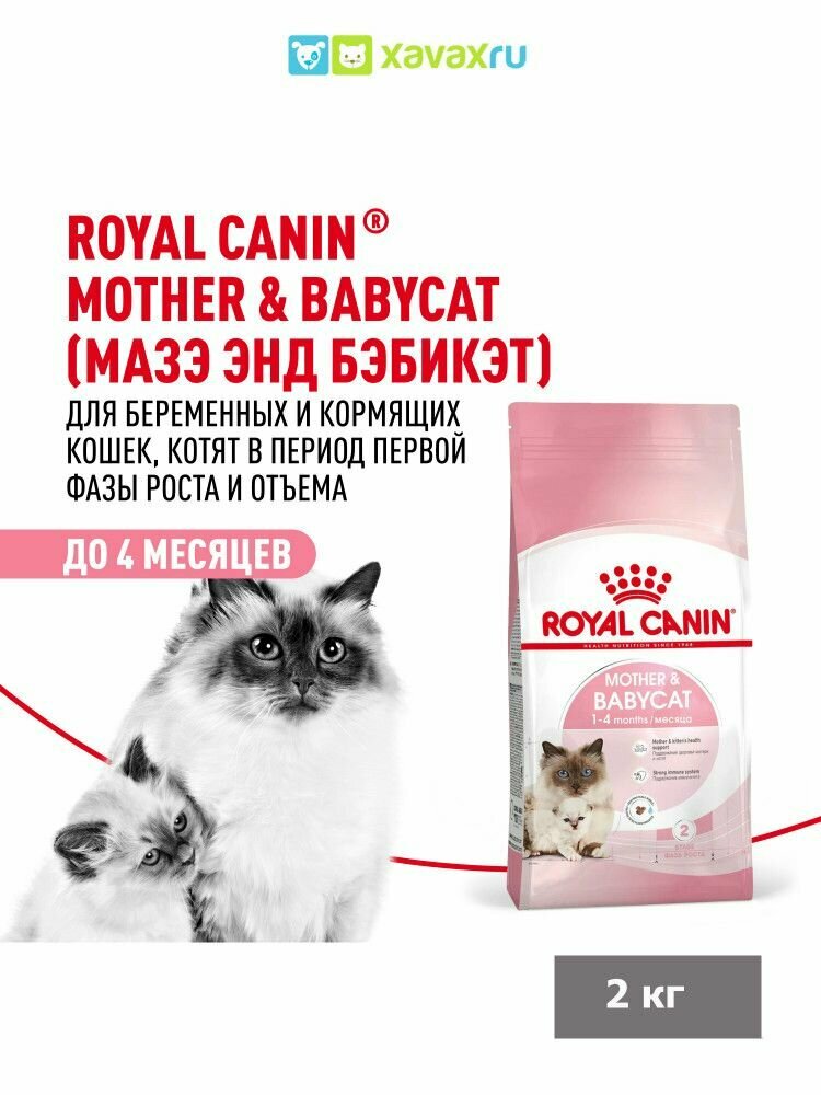 Сухой корм Royal Canin Mother&Babycat для котят в период первой фазы роста и отъема, беременных и кормящих кошек, 2 кг