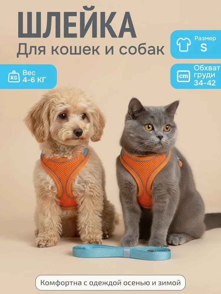 Шлейка для котят и собак мелких пород, обхват груди 34-42, с поводком, оранжевый-голубой, размер S