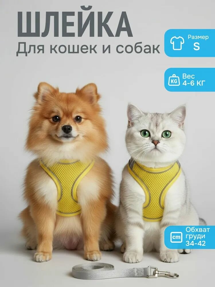 Шлейка анатомическая для собак и кошек 4-6 кг, с поводком, жёлтая, размер S (обхват груди 34 42 см)