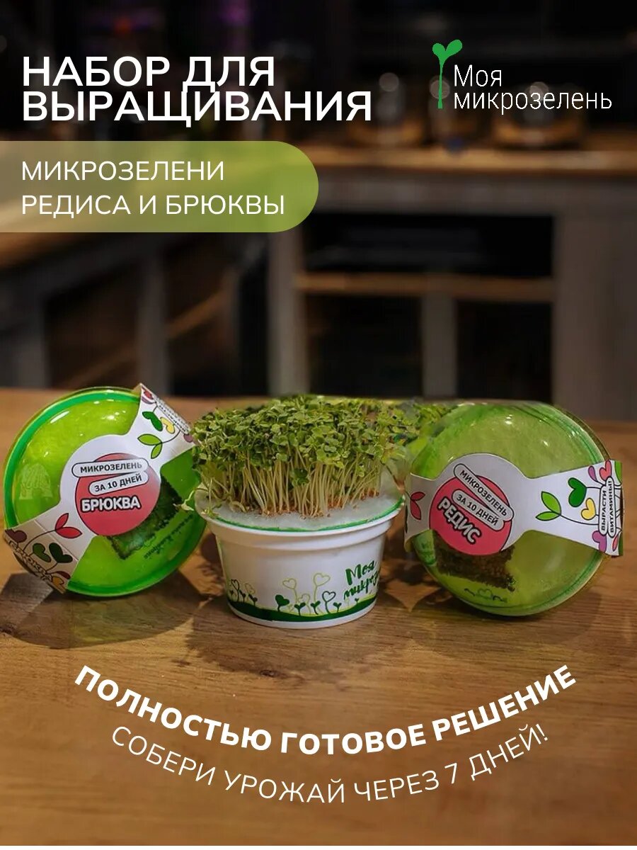 Набор для выращивания «Микрозелень Редиса и Брюквы»