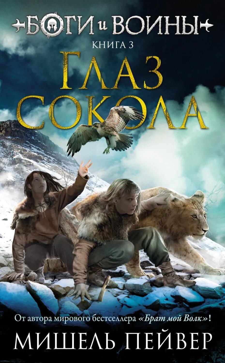 Глаз сокола [Цифровая книга]