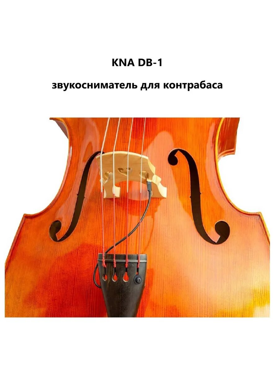 KNA DB-1 - звукосниматель для контрабаса