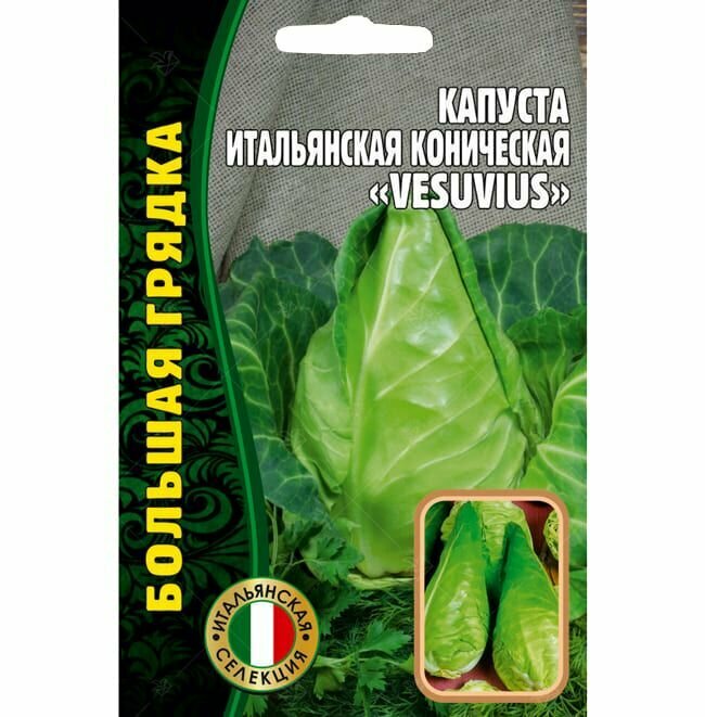 Капуста белокочанная Итальянская коническая "Vesuvius"0.2г Большая грядка