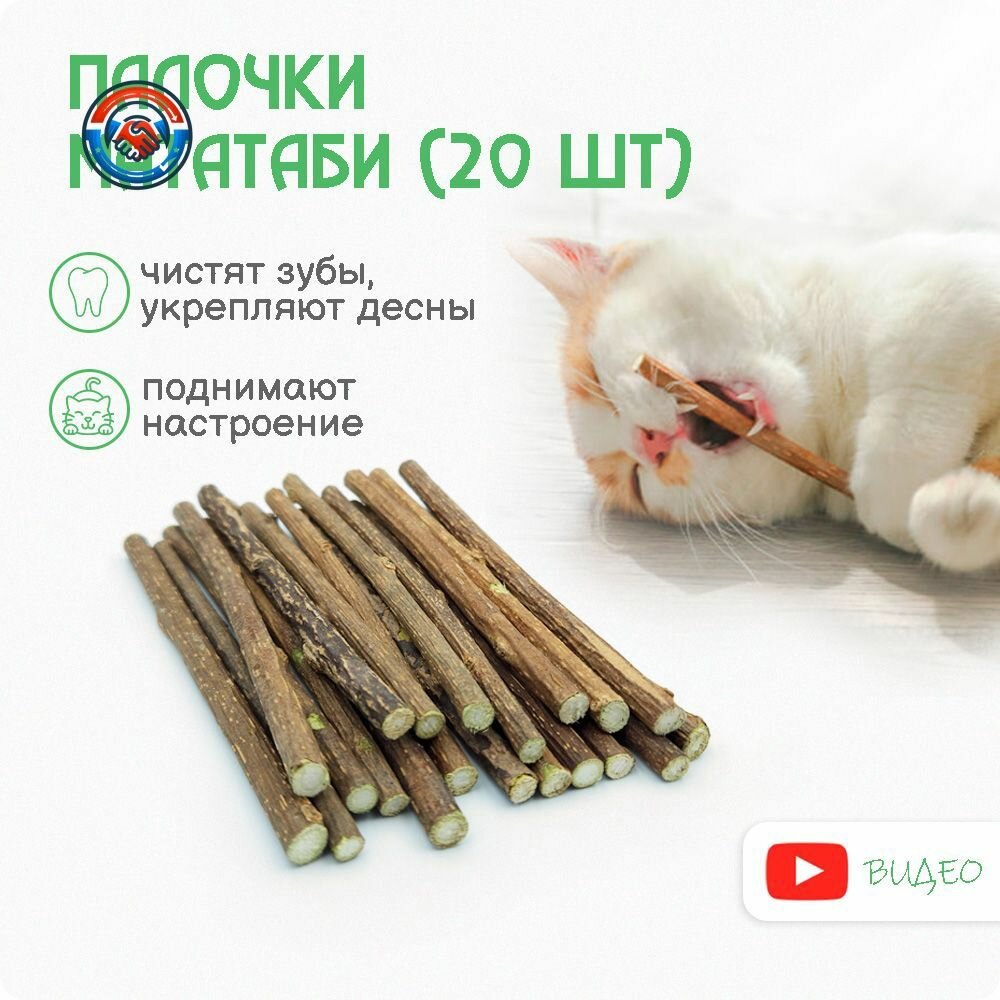 Палочки мататаби для кошек, жевательные игрушки для чистки зубов и успокоения, натуральное средство от стресса и шерсти в желудке, 2-3 раза в неделю