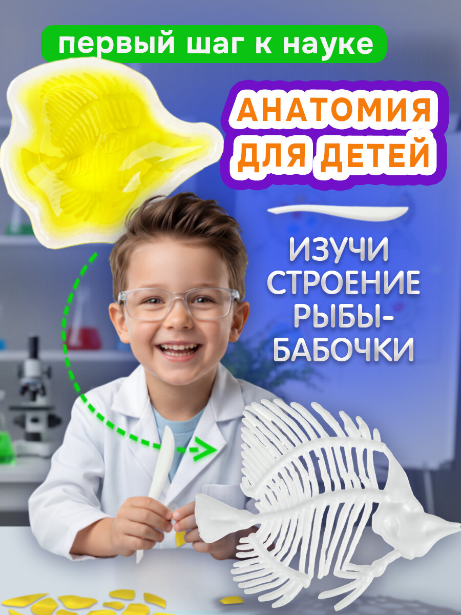 Набор опытов Анатомия для детей, для мальчиков, для девочек