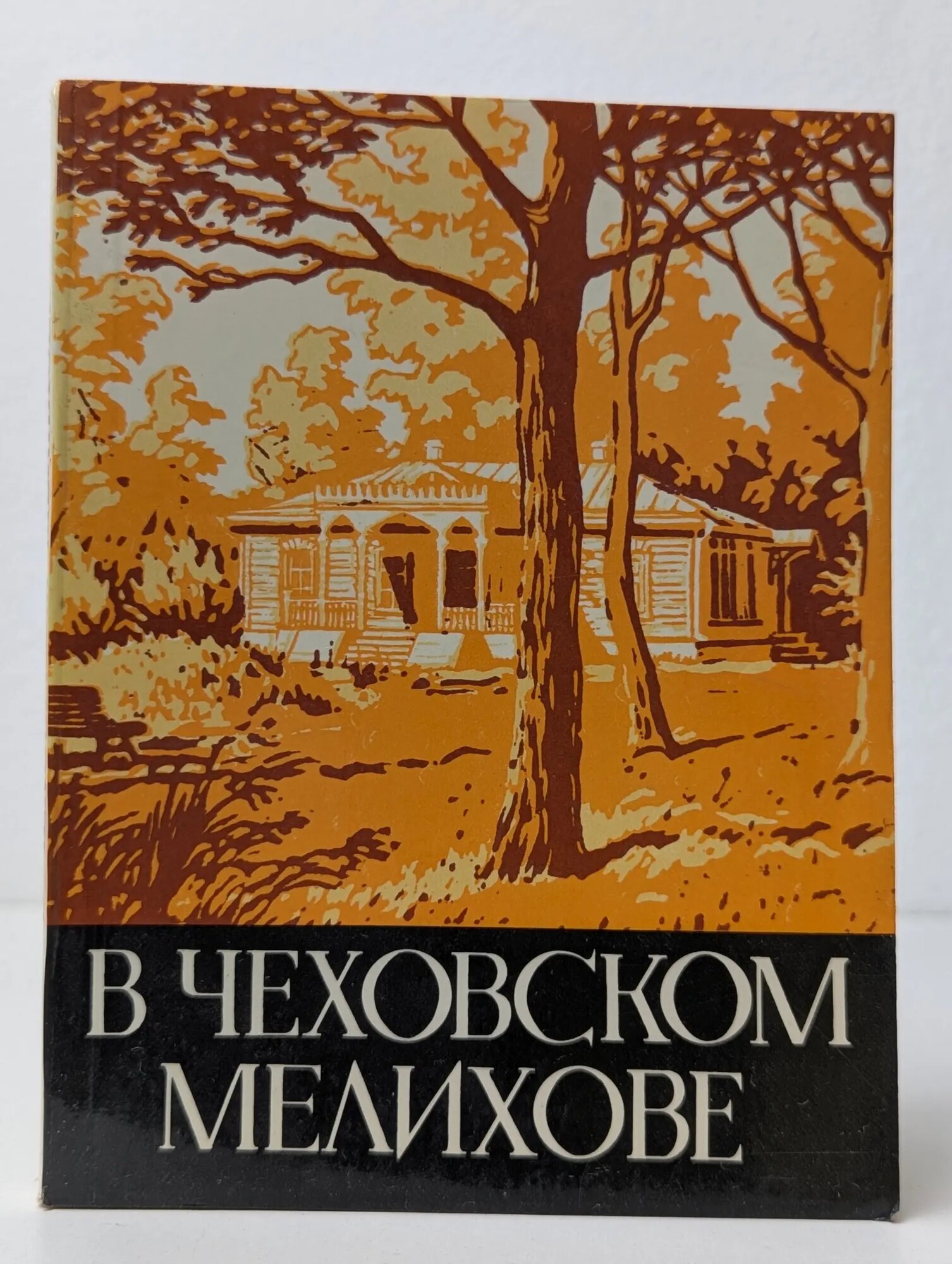В чеховском Мелихове Авдеев Юрий Константинович 1978