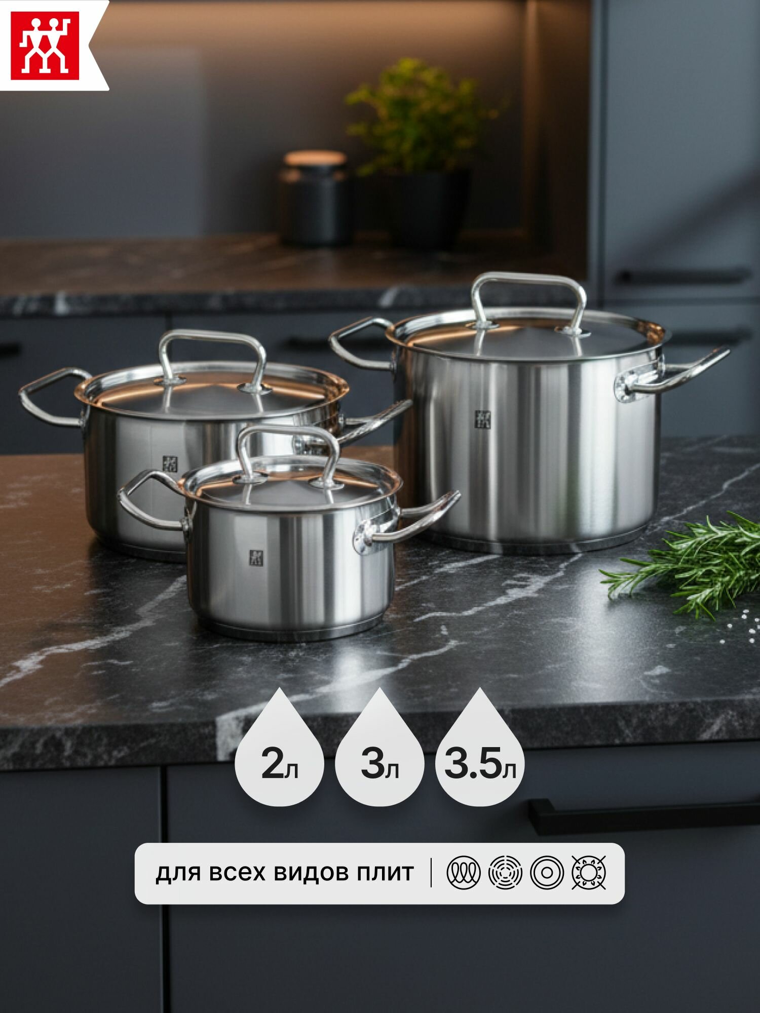 Набор кастрюль Zwilling Twin Classic 3 предмета, с крышками, для всех типов плит