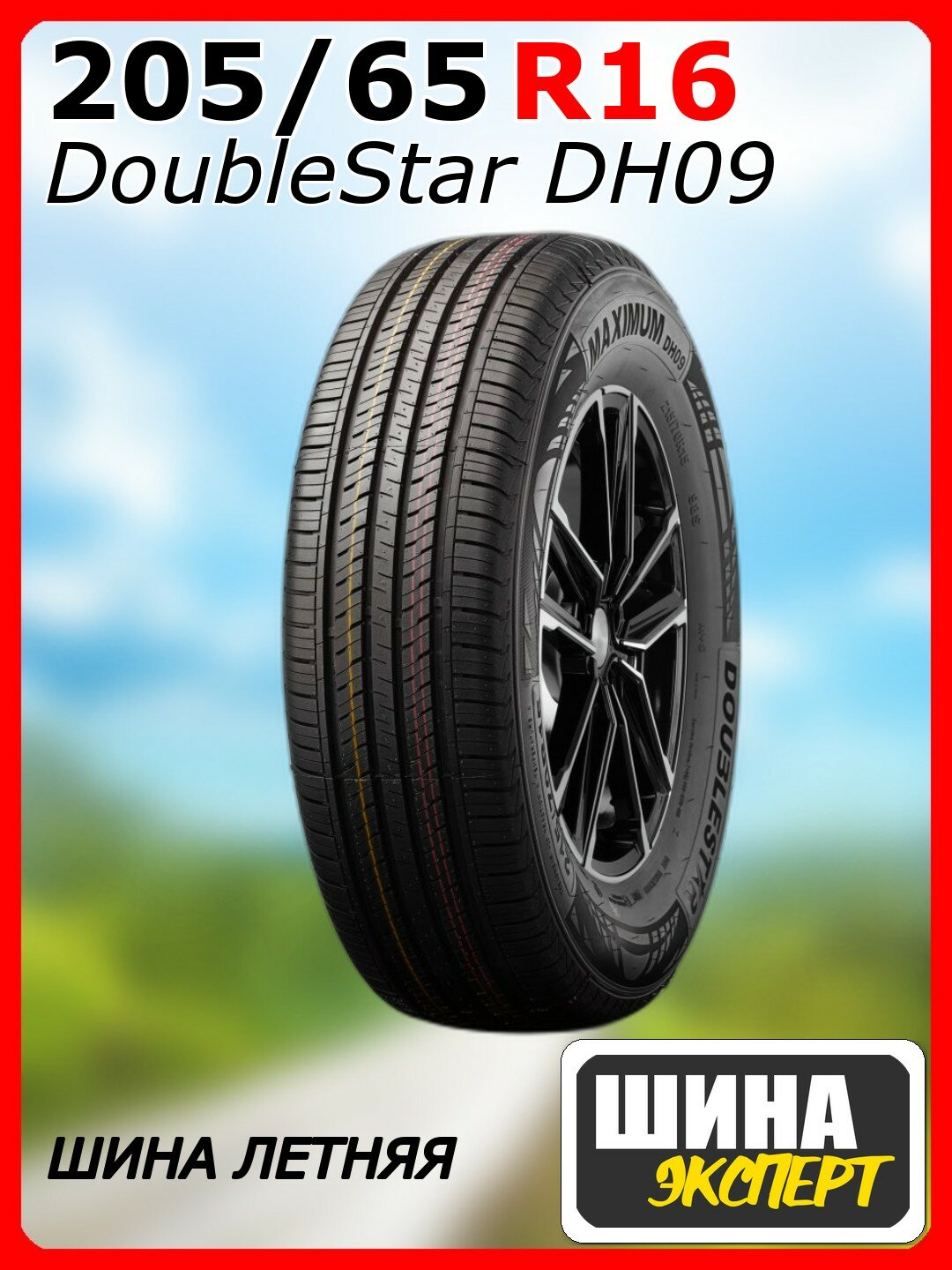 Шина летняя DoubleStar 205/65/16 H 95 DH09 для легковых автомобилей 2PH02056516E000013