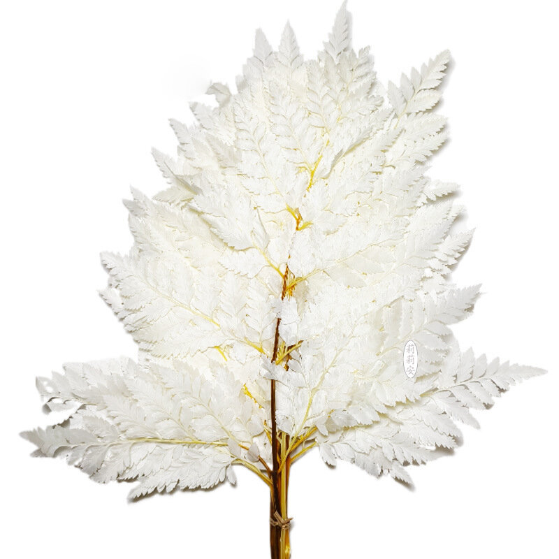 Вечные листья папоротника, сухие цветы, настоящие цветы, свадебная композиция, цветочная композиция, декор, листья Юньнаня, реквизит для фото, венозные сухие цветы, прессованные цветы