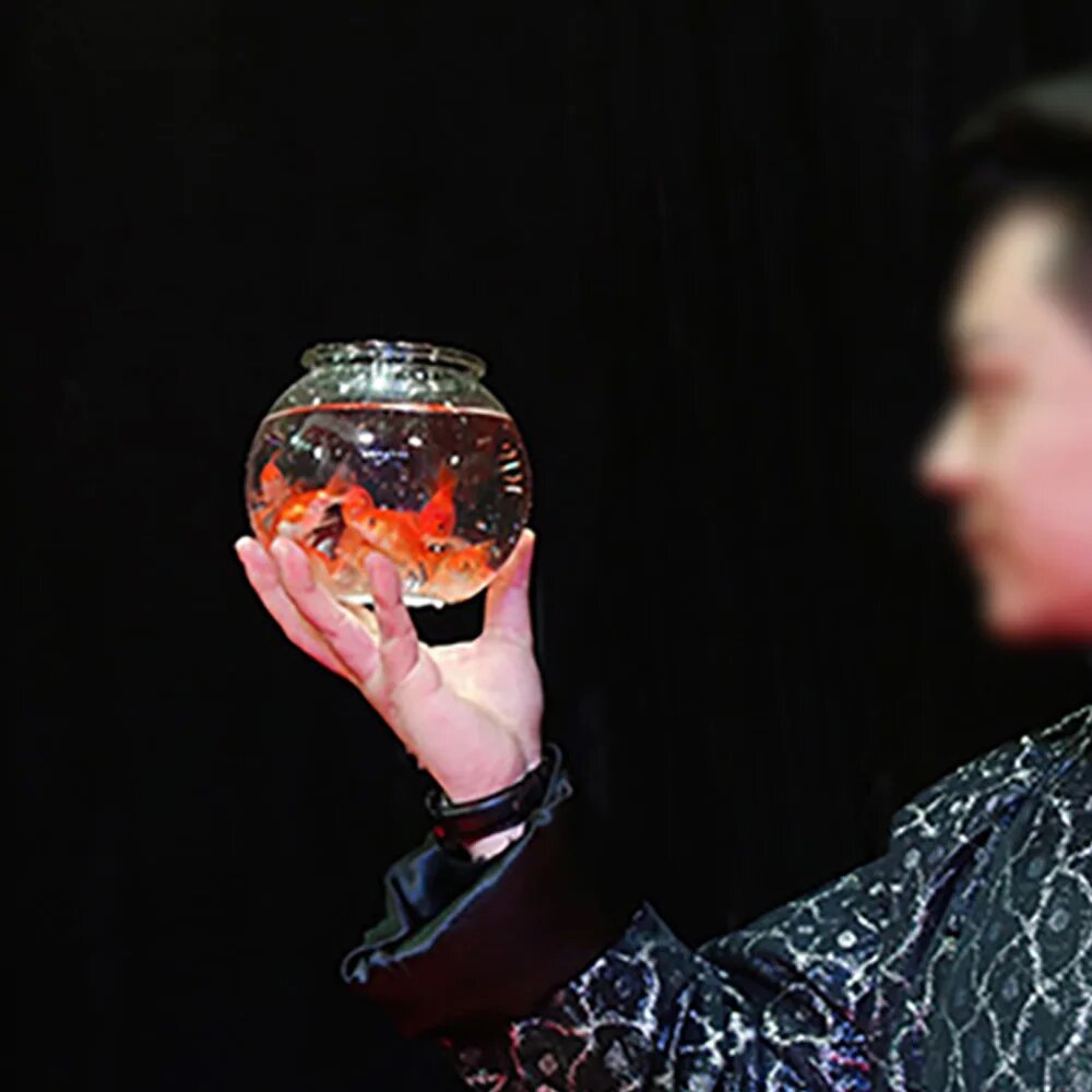 Магическая чаша для золотых рыбок doo-wops