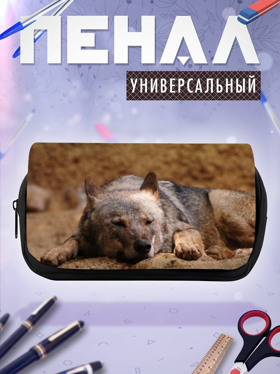 Школьный пенал живая природа шакал