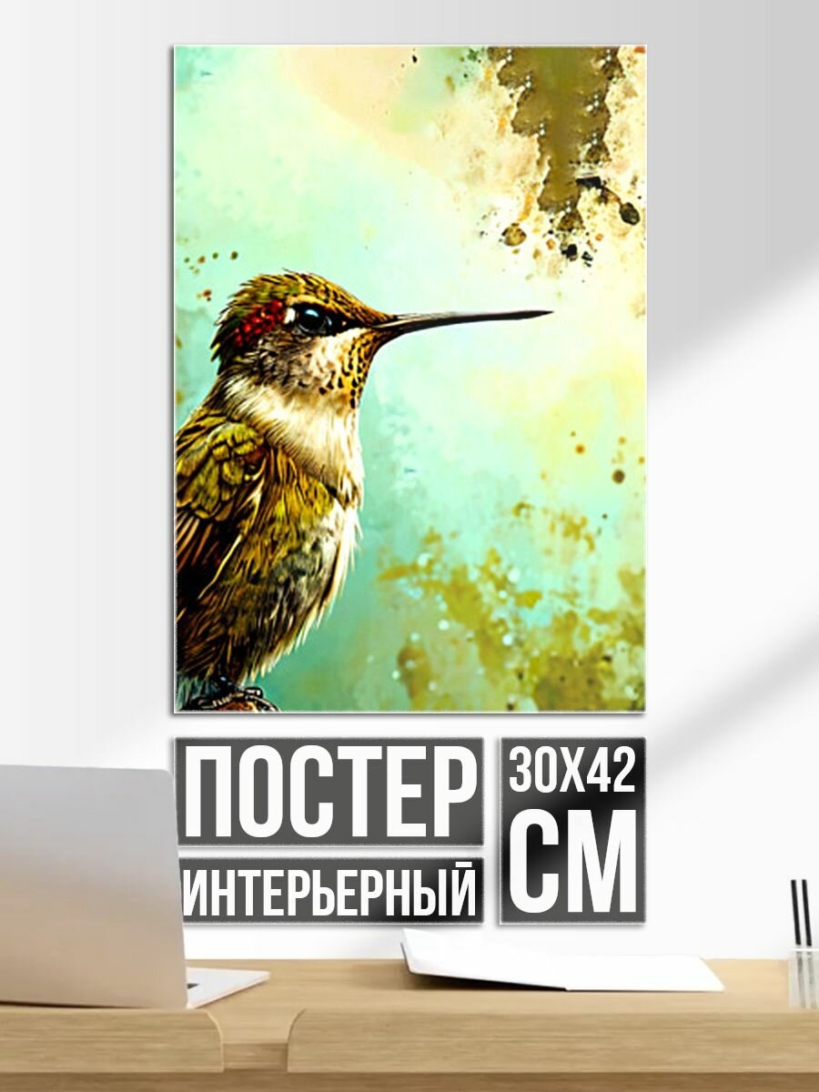 Постер на стену Колибри птичка