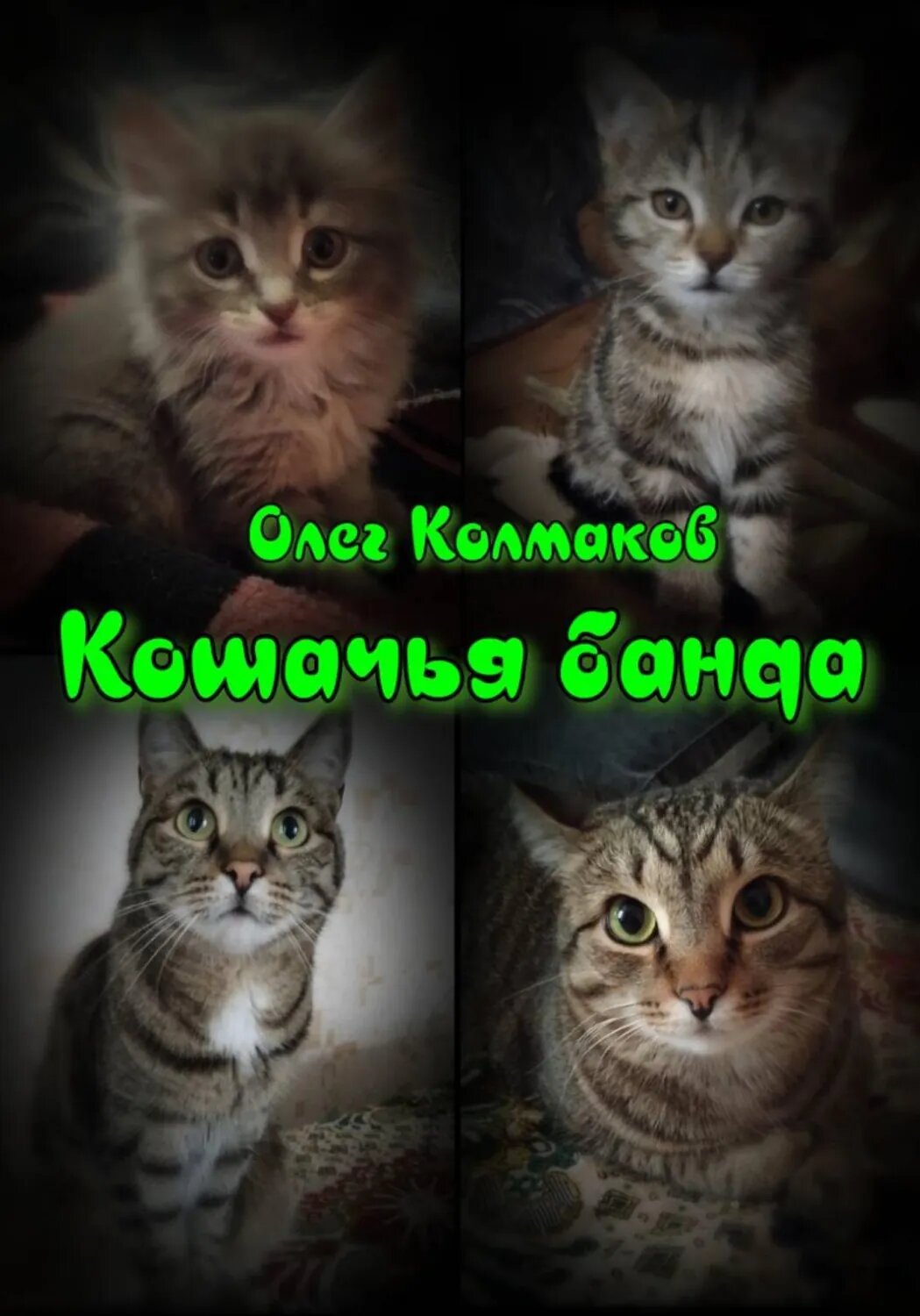 Кошачья банда [Цифровая книга]