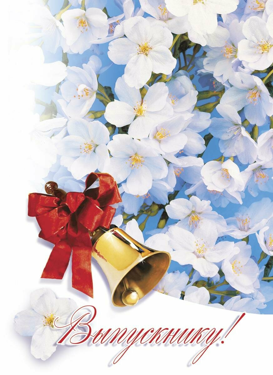 Папка выпускнику "Яблоневый цвет", с колокольчиком и бантом, праздничный дизайн