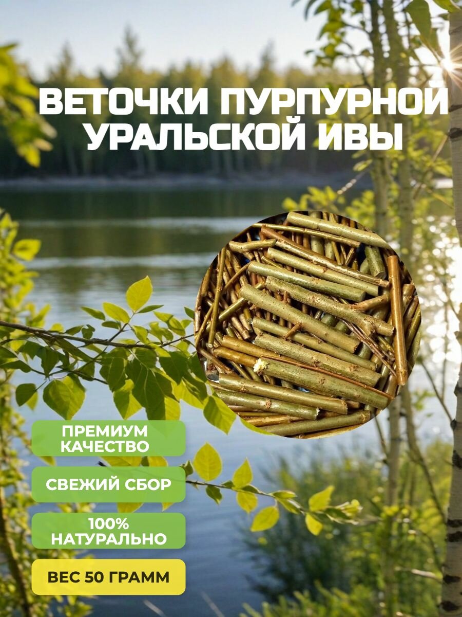 Веточки пурпурной уральской ивы, 50 гр.