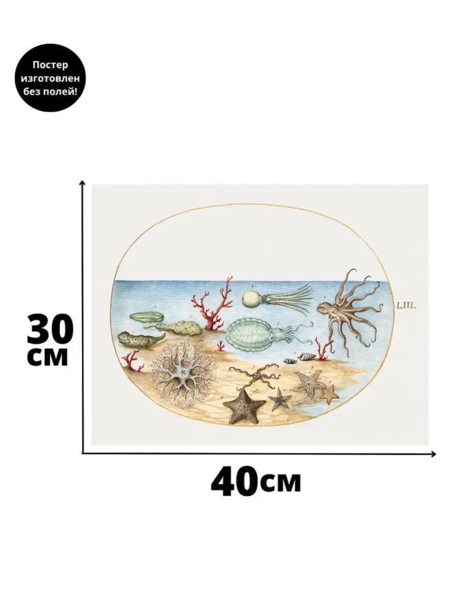 Постер в морском стиле ретро рисунок, 40 x 30 см, бумага, без рамы