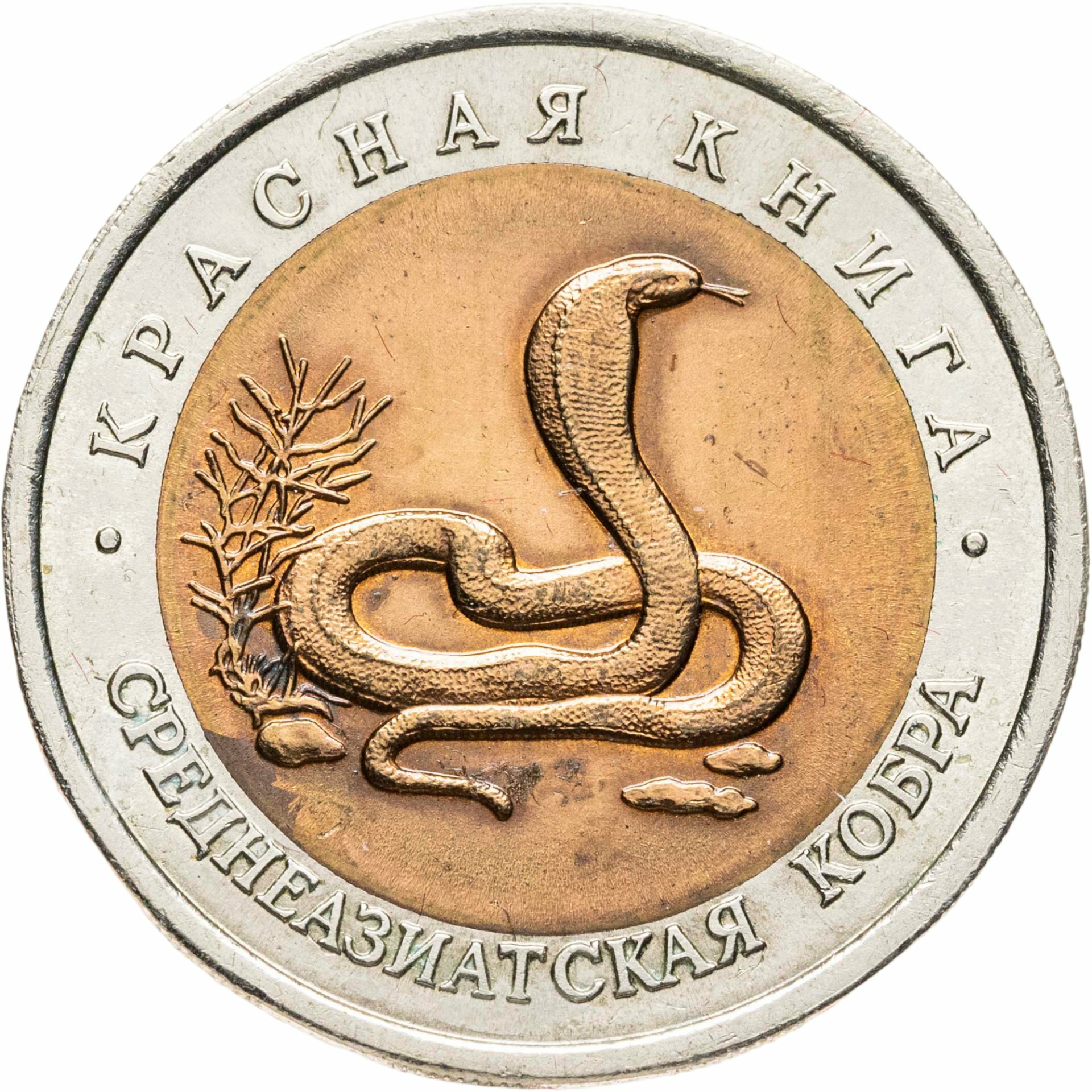 10 рублей 1992 ЛМД среднеазиатская кобра
