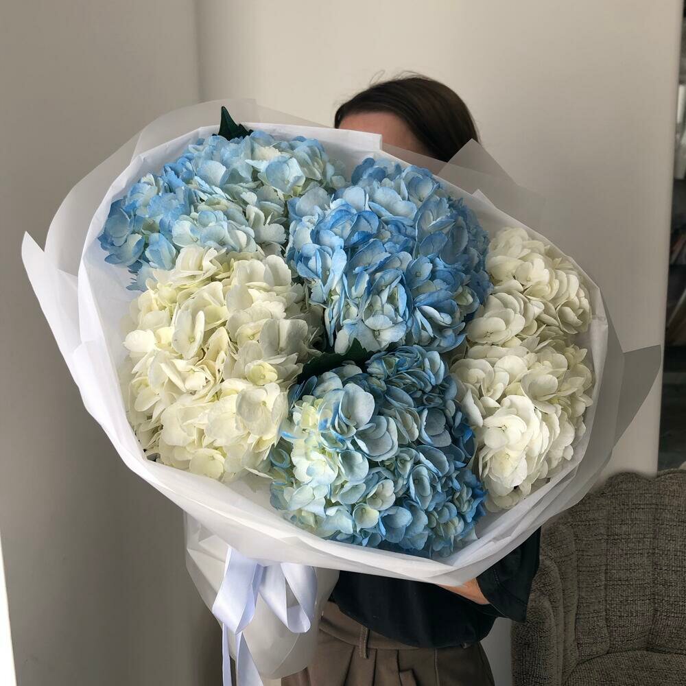 Букет цветов из 5 колумбийских гортензий воздушный белый нежный синий, высота 50 см