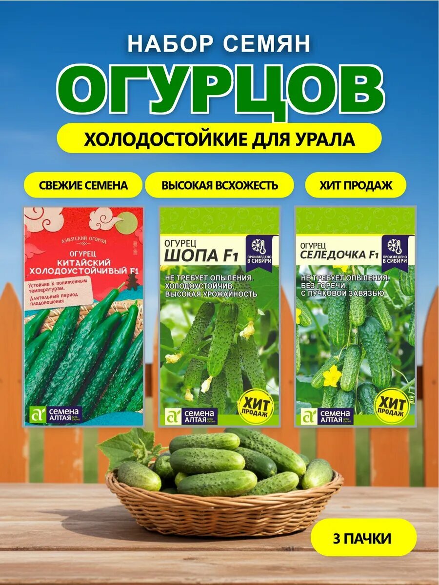 Набор семян огурцов для Урала для открытого грунта и теплиц, 3 сорта