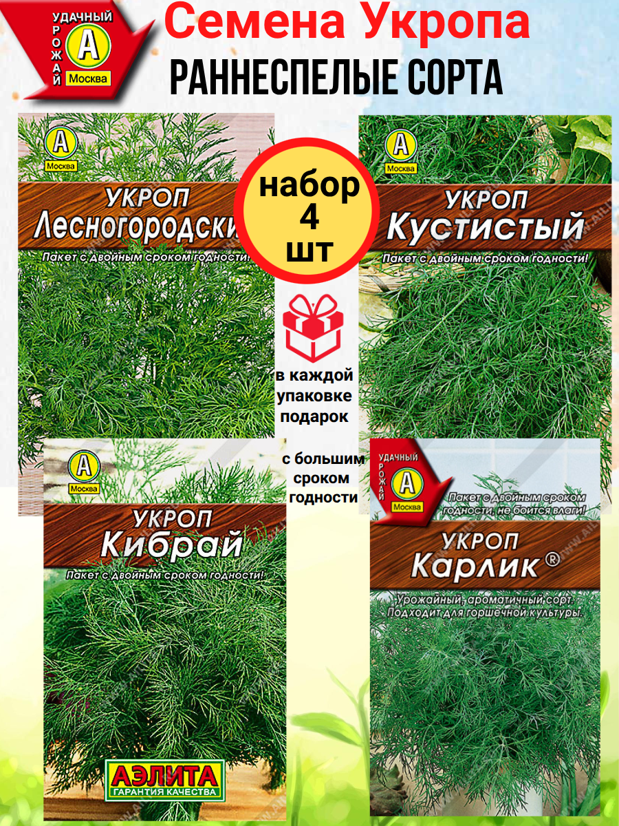 Семена укропа "Карлик", "Кибрай", "Лесногорский", "Кустистый", 4 пачки