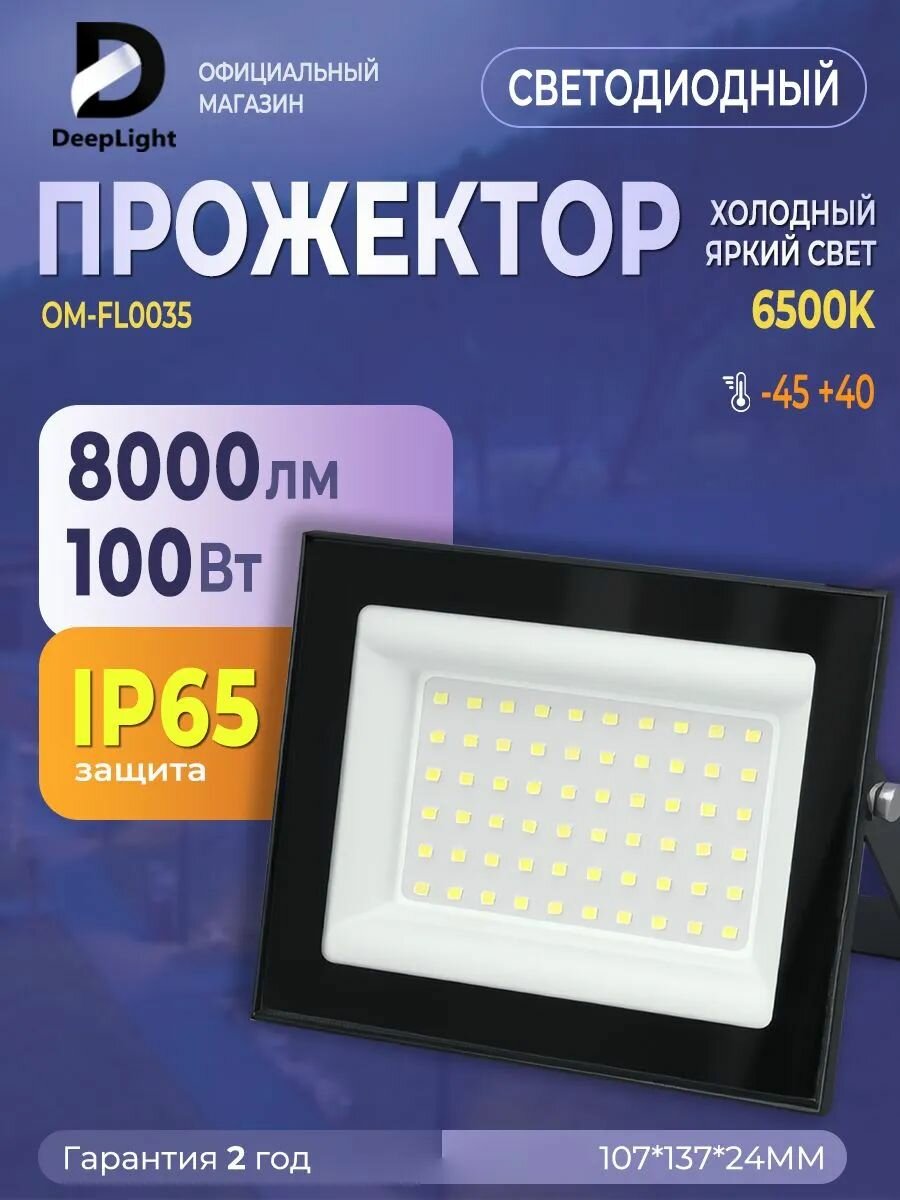 Прожектор светодиодный уличный влагозащищенный от сети 100Вт, 6500К, IP65