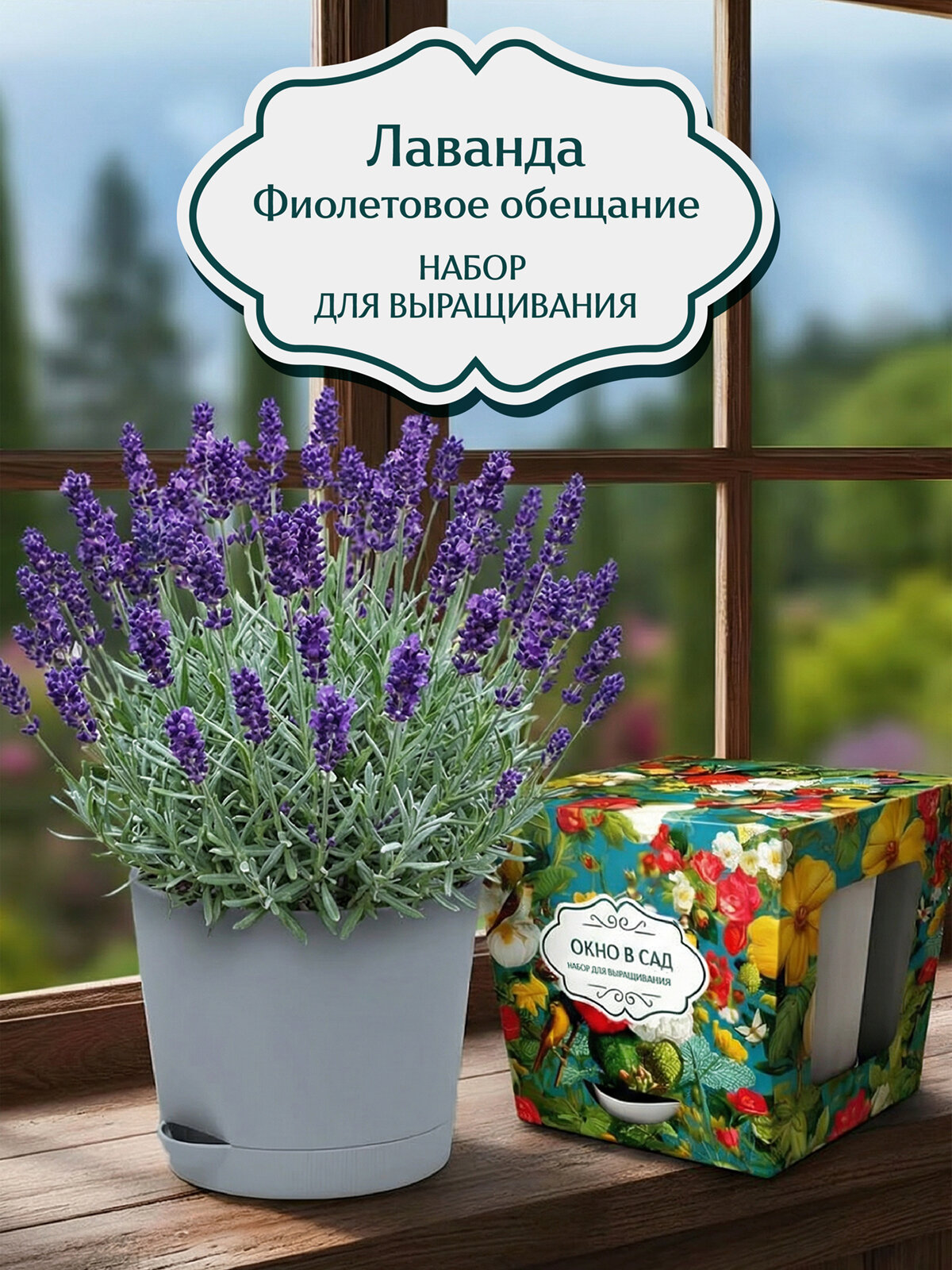 Набор для выращивания Лаванда фиолетовое обещание "Окно в сад", для детей и взрослых