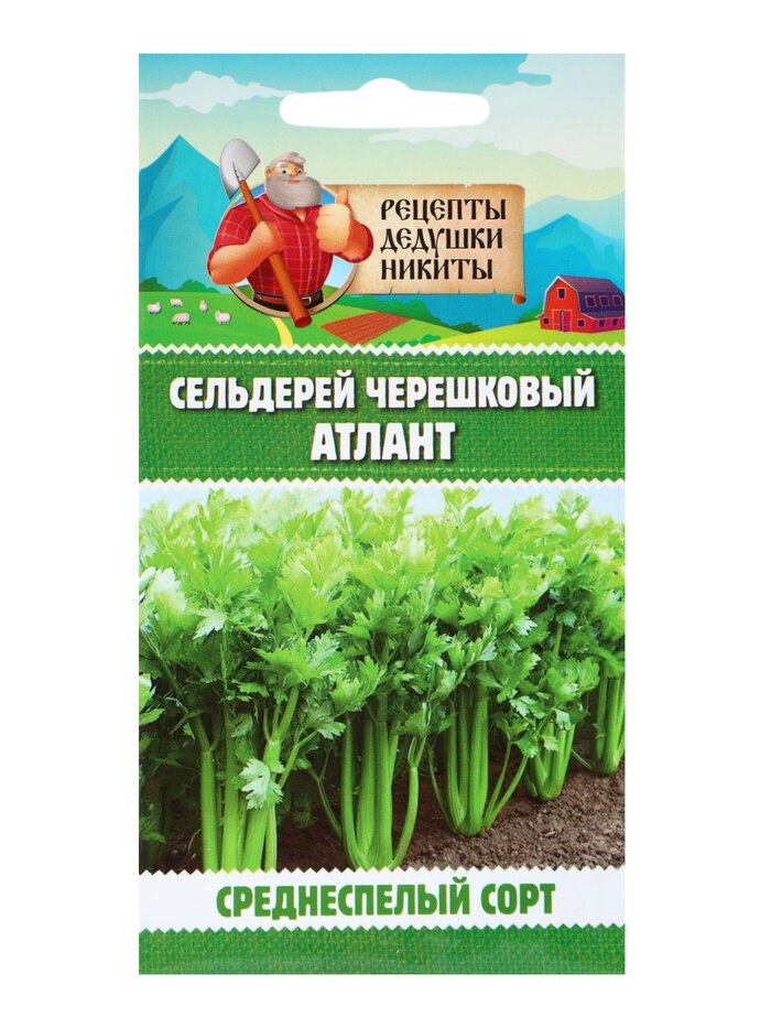 Семена Сельдерей «черешковый Атлант», 0.5 г, «Рецепты дедушки Никиты»