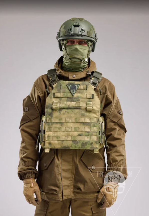 Бронежилет плитник Варяг "Воевода 14/23" БР-1A-TACS FG CAMO (Мох) VPl-001-FG