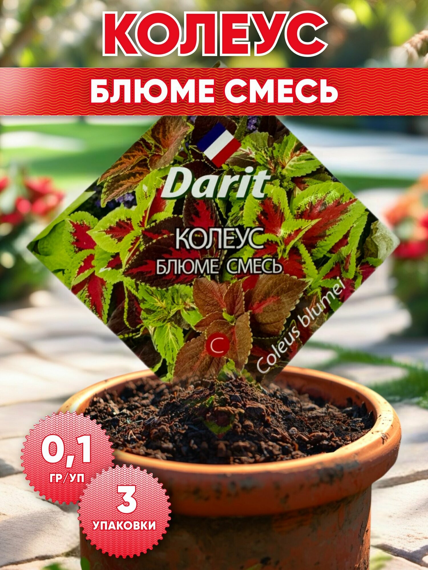 Семена Колеус Блюме смесь 0,1г/1уп, (3 упаковки)