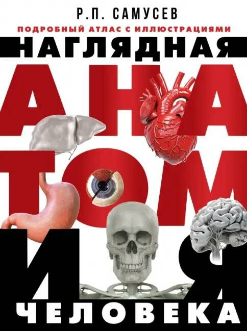 Учебная литература АСТ Наглядная анатомия человека. Подробный атлас с иллюстрациями Самусев Р. П, 2023 г