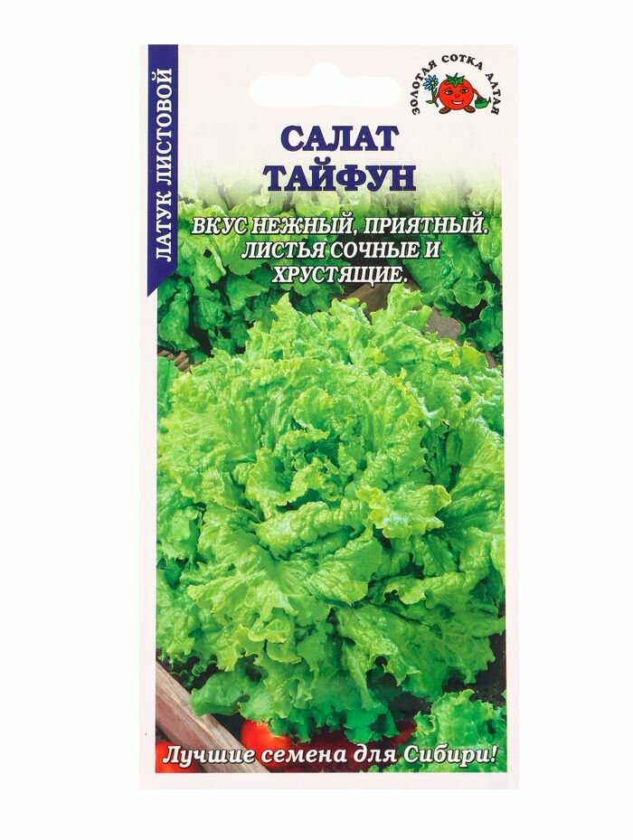Семена Салат Тайфун , 0.5 г, среднеспелый, листовой, зелёный Золотая Сотка Алтая