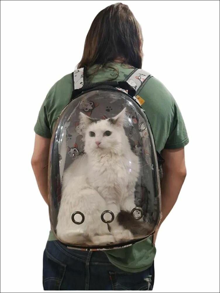 Сумка-переноска рюкзак для кошек портативная прозрачная уличная арт. РА-027