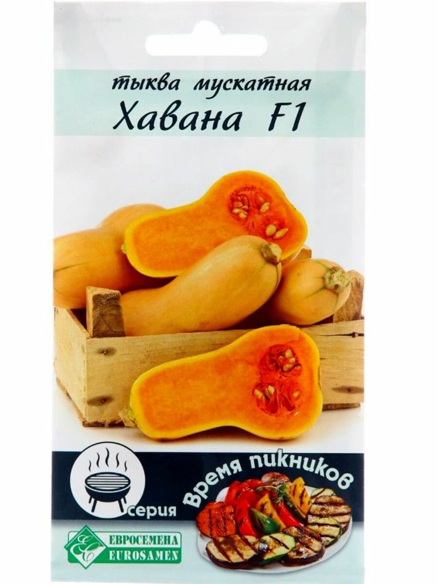 Семена Тыква мускатная Хавана F1
