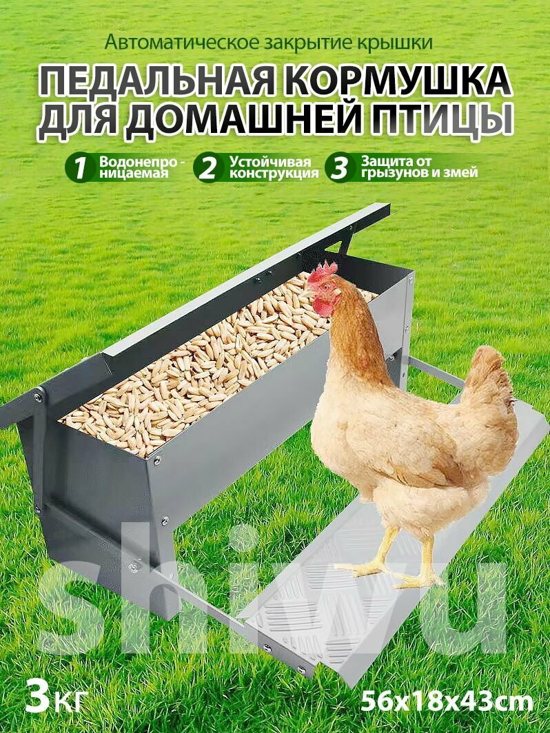 Автоматическая педальная кормушка из нержавеющей стали для кур, уток и гусей с защитой от мышей.