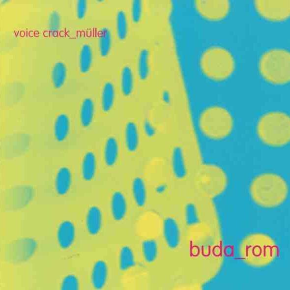 Компакт-диск Warner Voice Crack – Buda_Rom