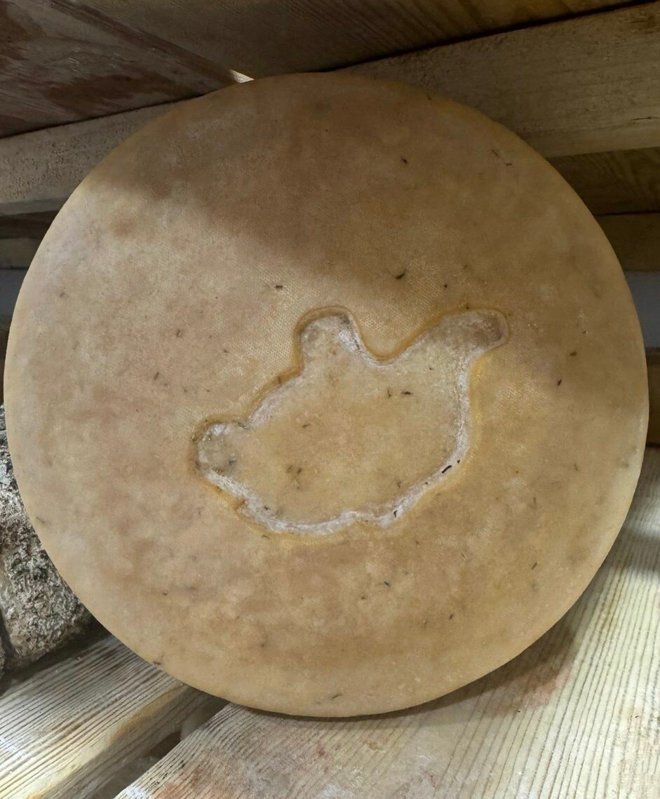 Сыр козий с базиликом 3кг.