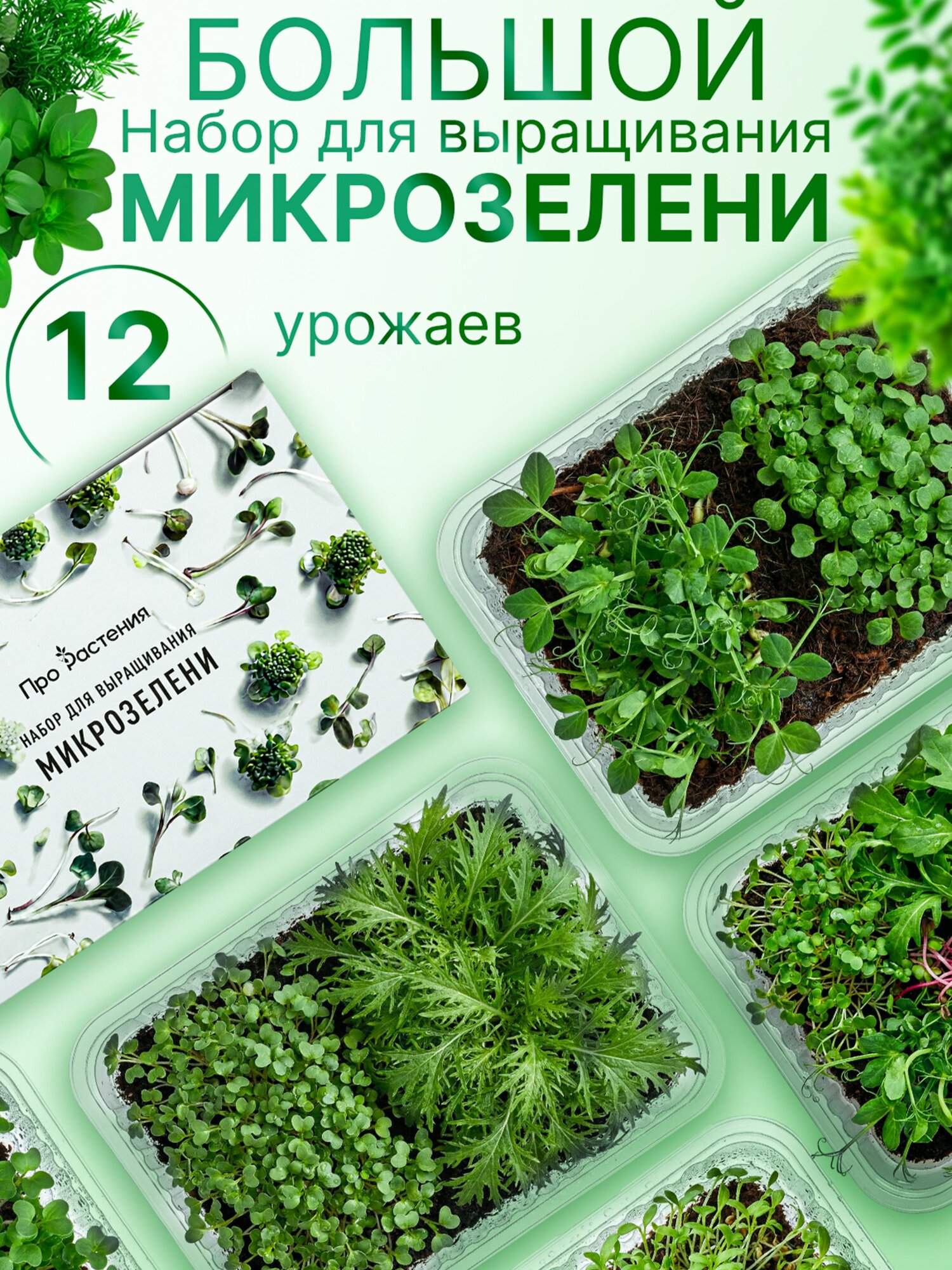 Микрозелень набор для выращивания растений 12 урожаев