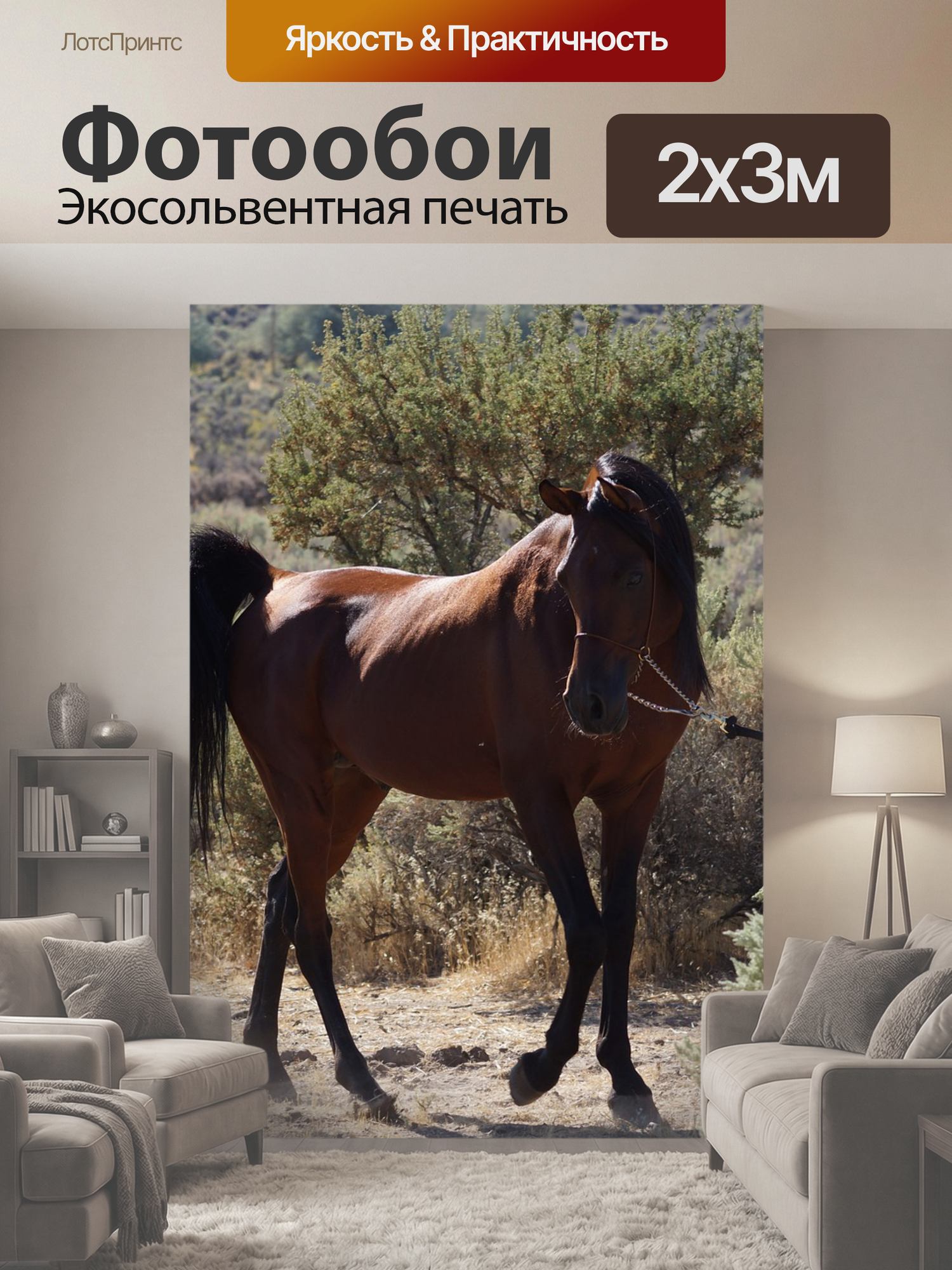 Фотообои "Арабский, лошадь, жеребец" 200x300 см. экосольвентная печать