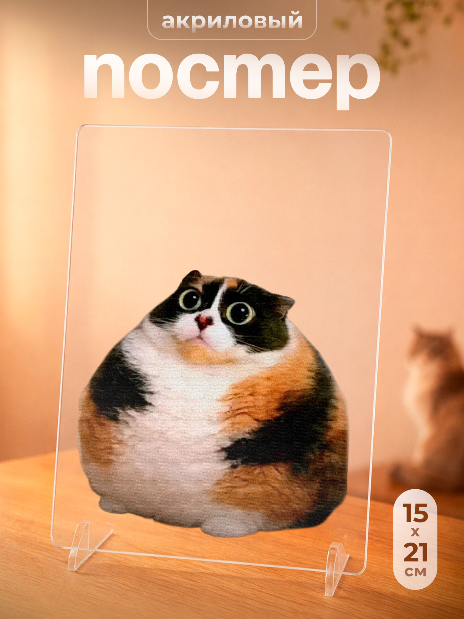 Постер на подставке куки кот, мем