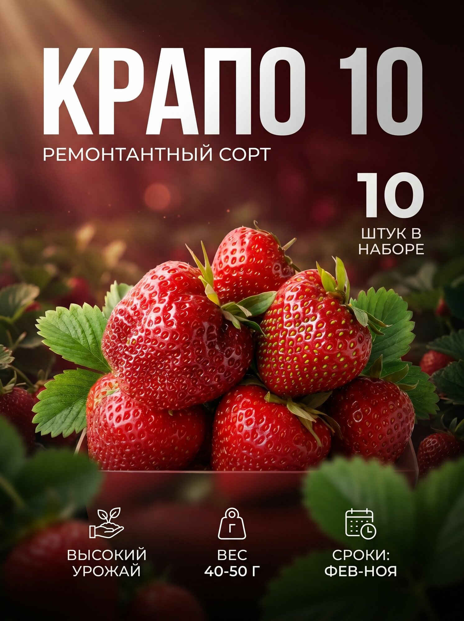 Саженцы клубники Крапо 10 10-шт