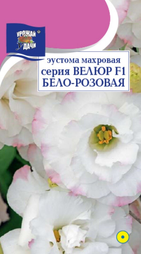 Семена эустомы Урожай удачи махровая бело-розовая, Велюр F1, для срезки, 5 шт