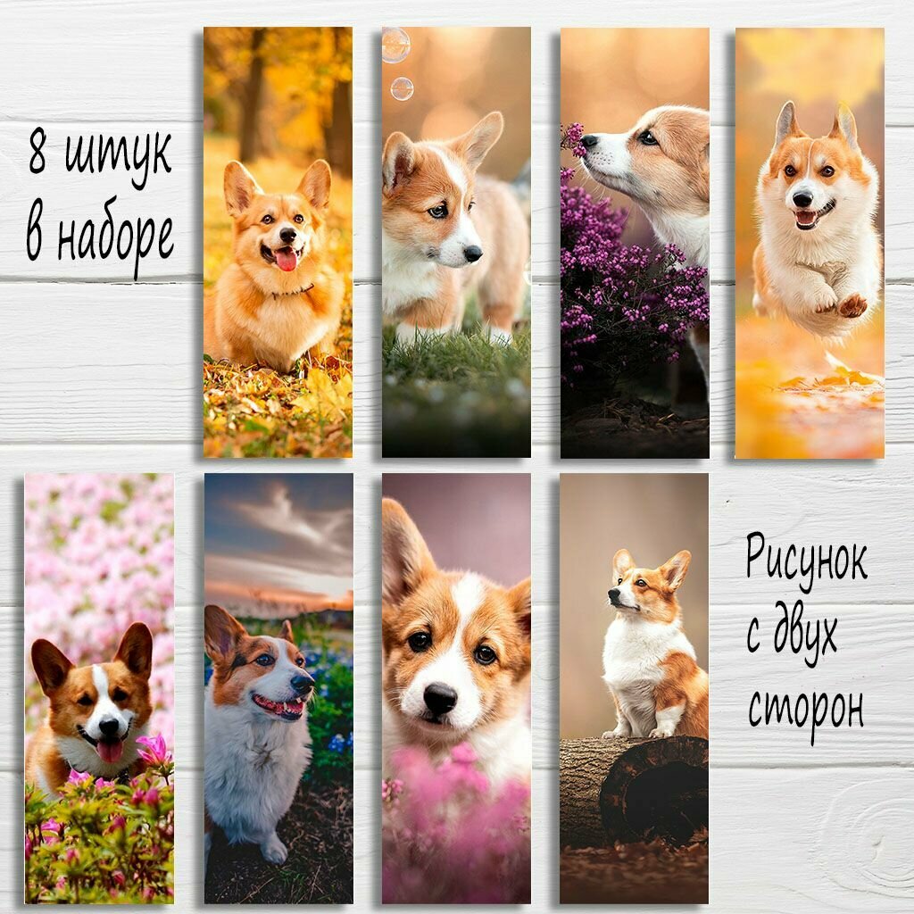 Закладка для книг Корги, набор из 8 штук